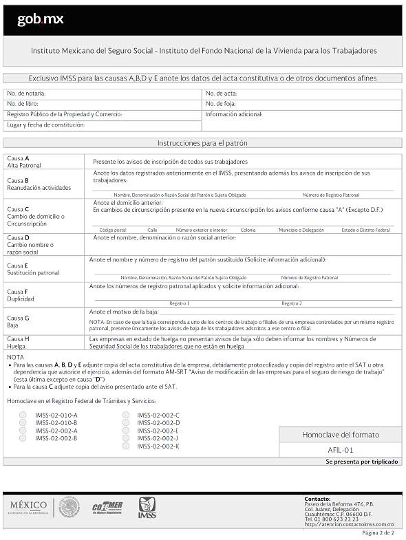 INSTITUTO MEXICANO DEL SEGURO SOCIAL