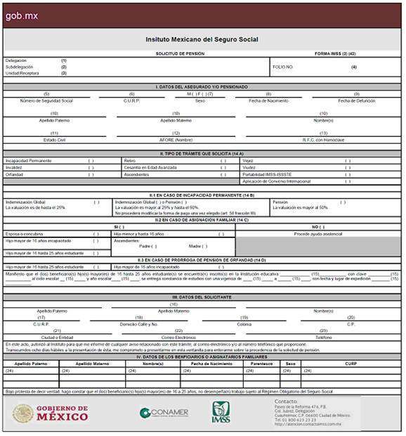 INSTITUTO MEXICANO DEL SEGURO SOCIAL