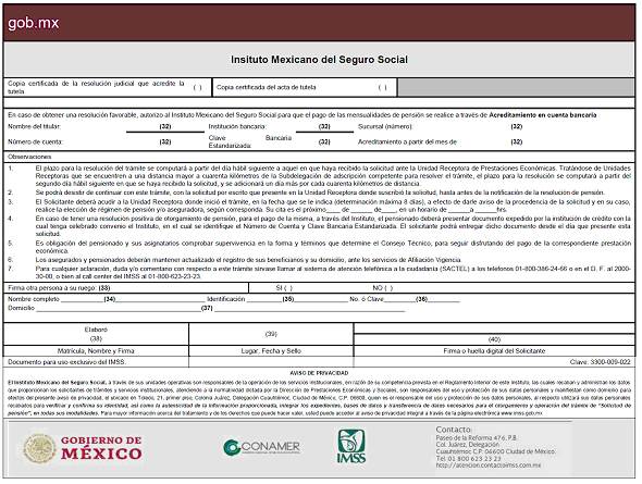INSTITUTO MEXICANO DEL SEGURO SOCIAL