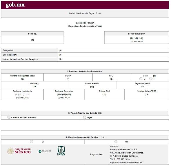INSTITUTO MEXICANO DEL SEGURO SOCIAL