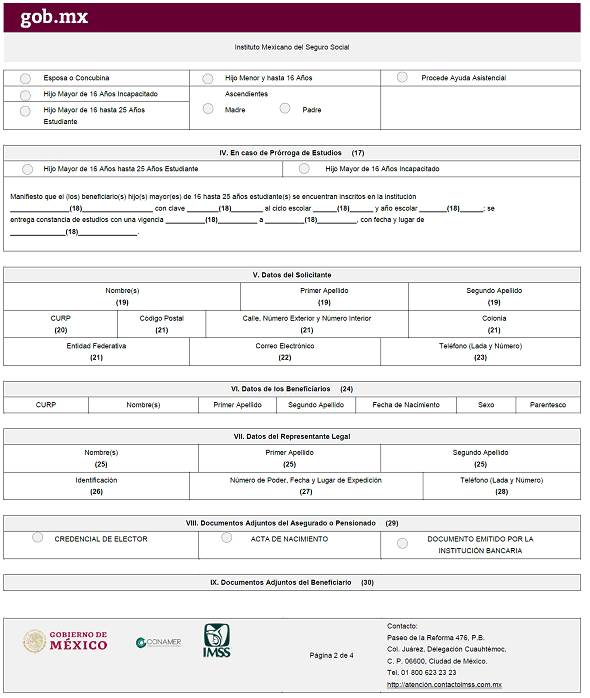 INSTITUTO MEXICANO DEL SEGURO SOCIAL